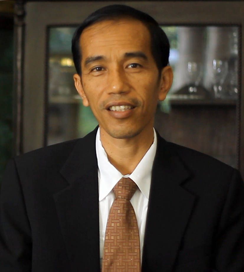 Sepuluh Tahun Pemerintahan Joko Widodo: Kolaborasi Elit Politik ...